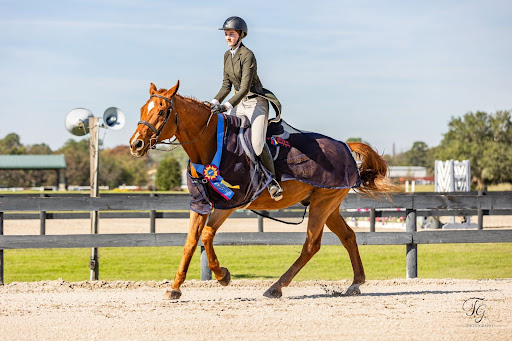 Progressive Show Jumping, Inc.