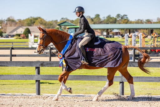 Progressive Show Jumping, Inc.