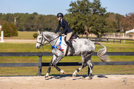 Progressive Show Jumping, Inc.